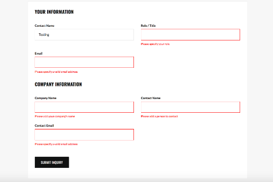 Custom Form Styling - Webflow